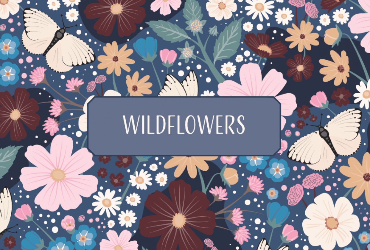 Wildflowers | Skillshare Student Project