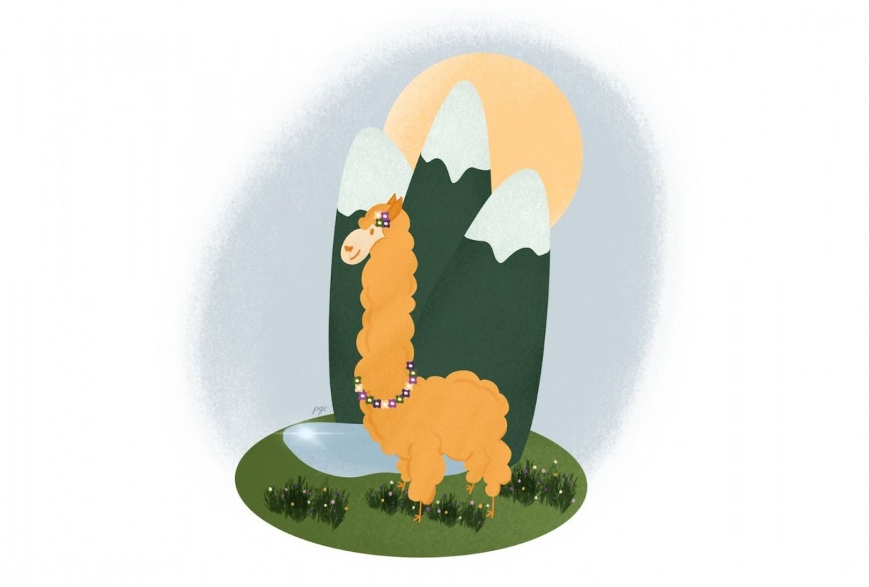 Paca the alpaca | Skillshare Student Project