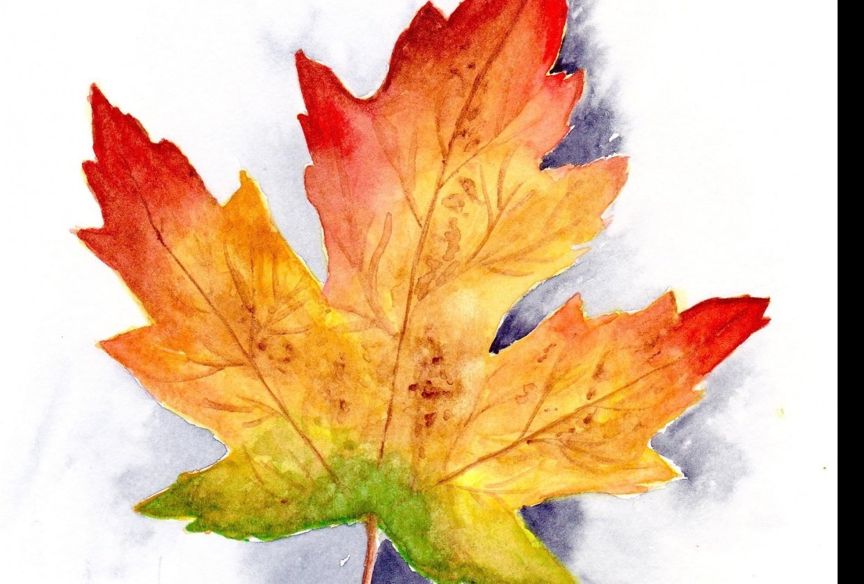 Watercolour fall leaf | Skillshare Student Project