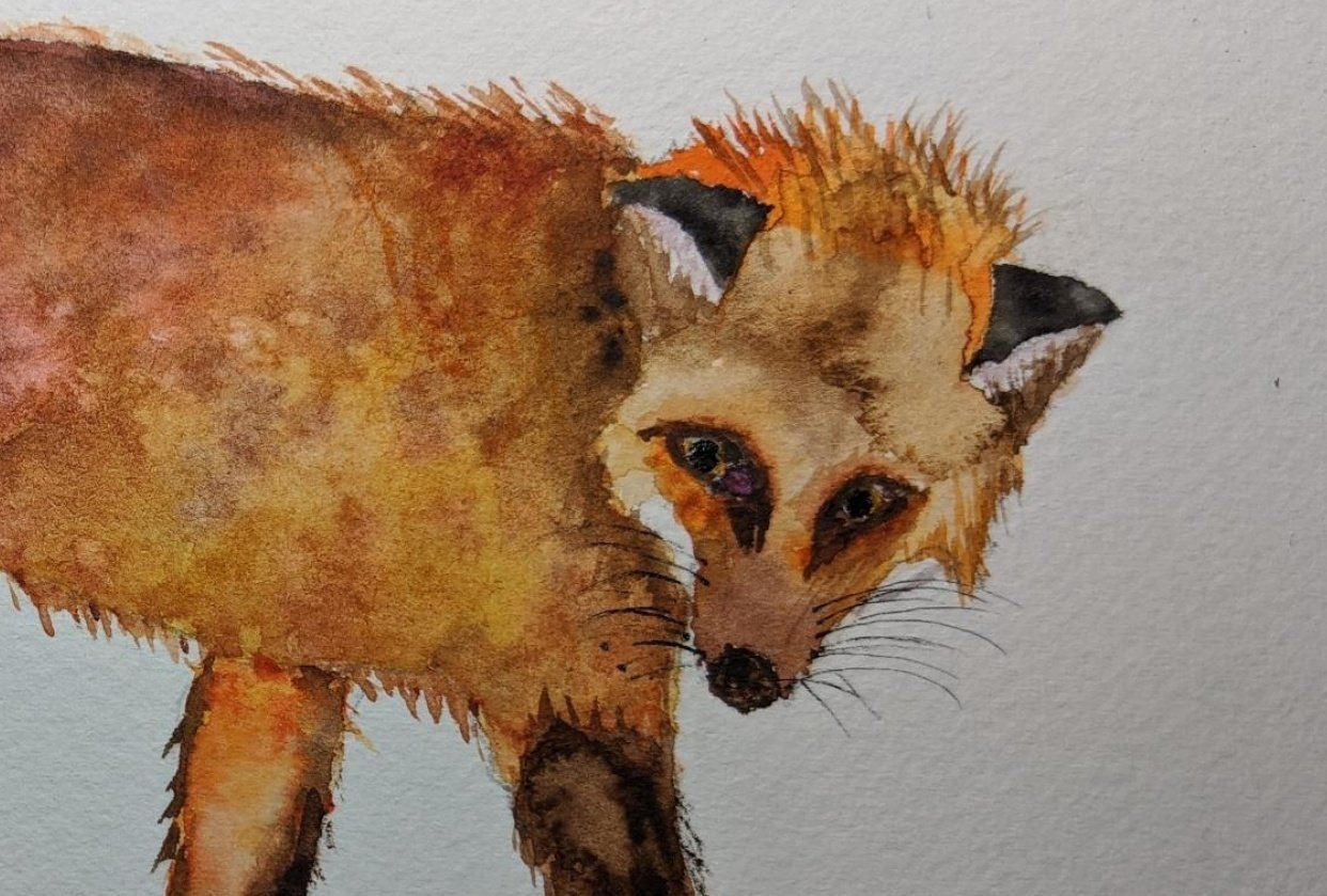 My Fox | Skillshare Student Project