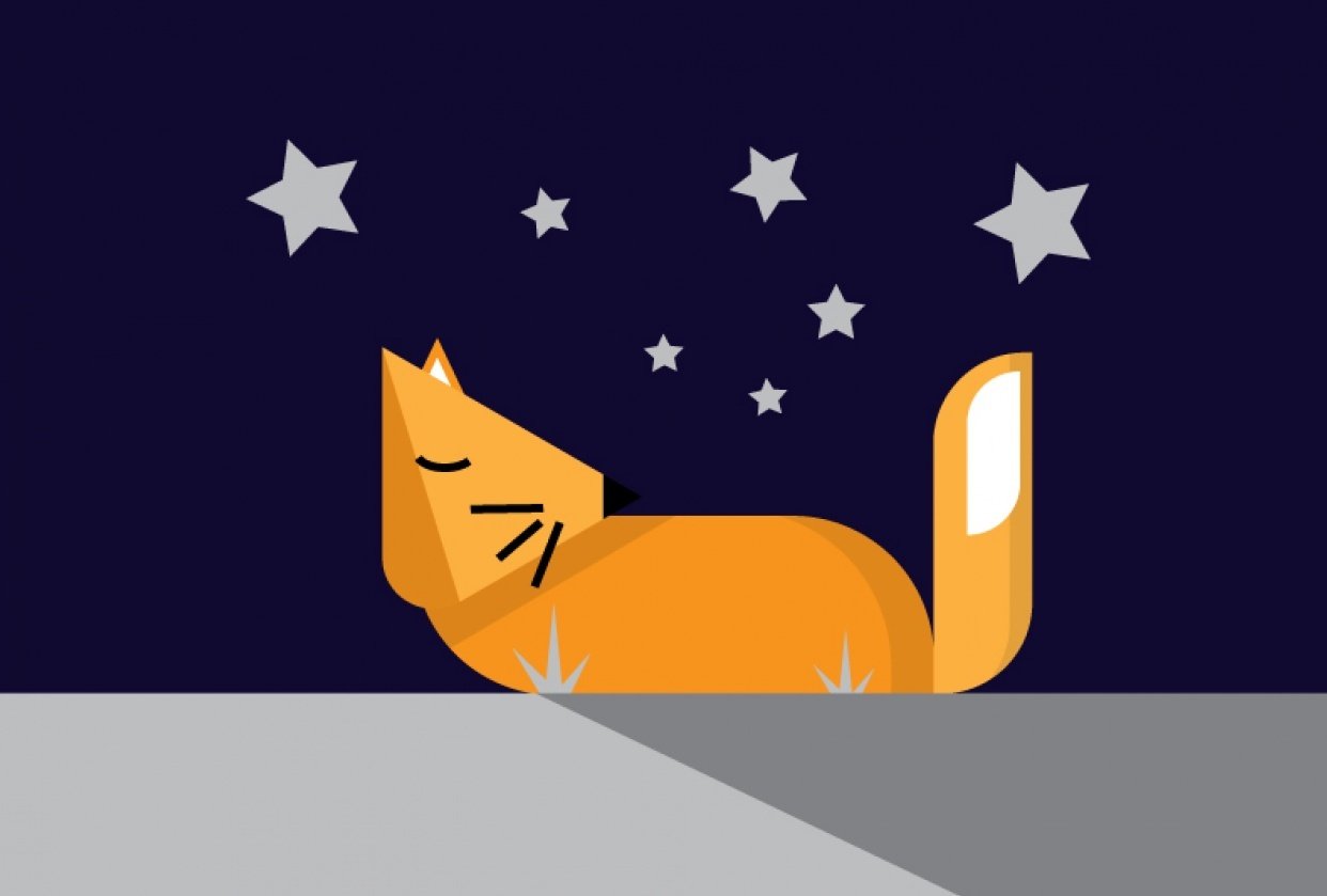 Sleeping Fox | Skillshare Student Project