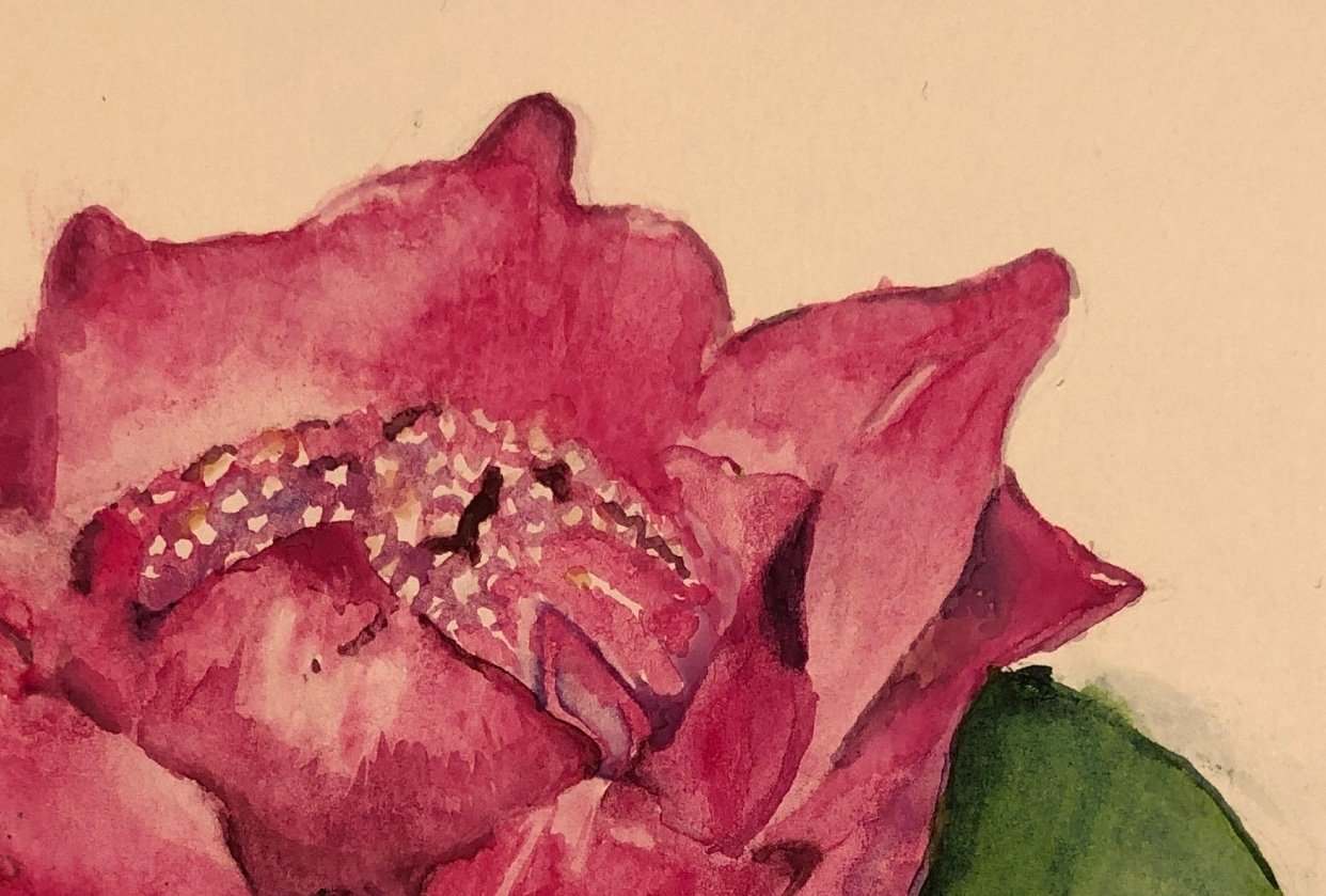 Travel Shot | Skillshare Student Project