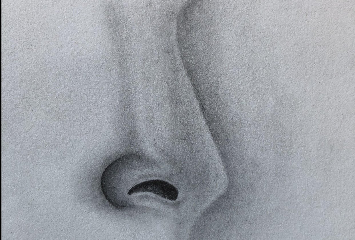 Nose Drawing Techniques | Skillshare Student Project
