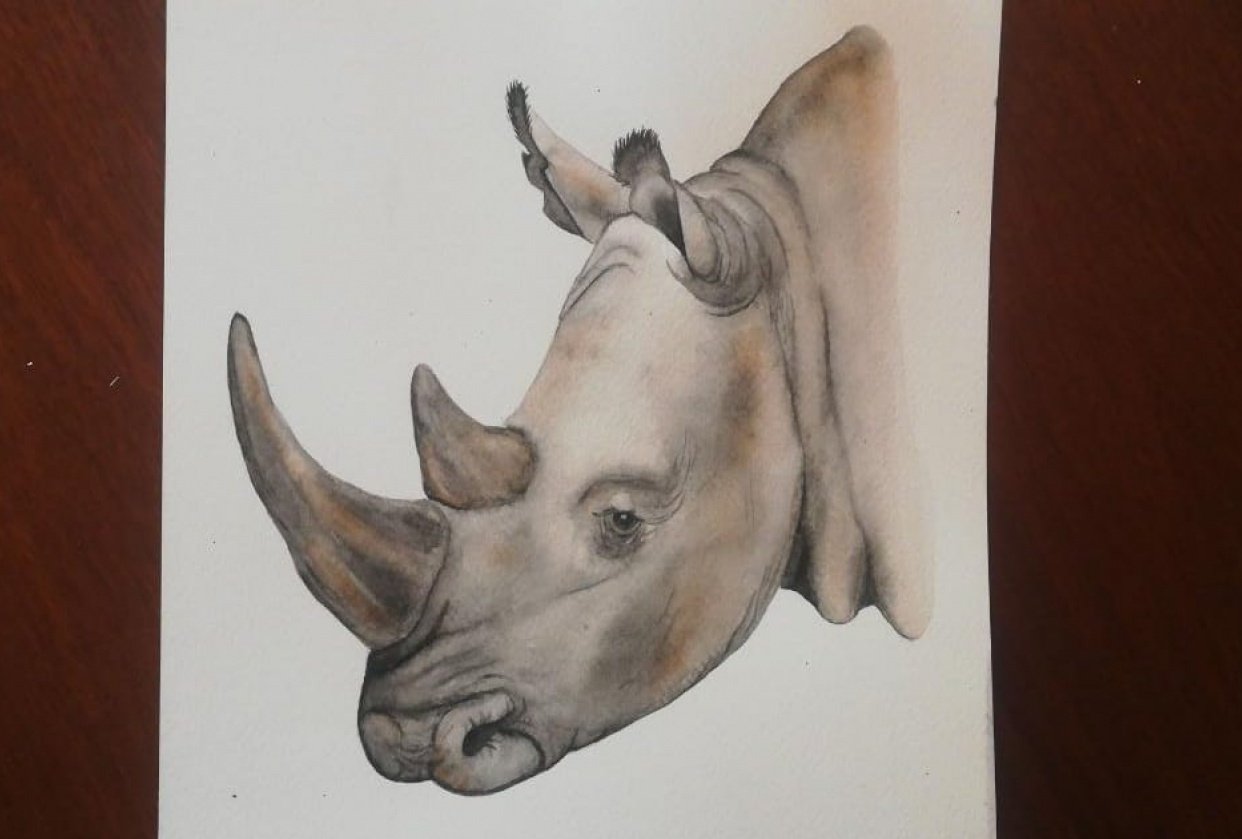 Rhino | Skillshare Student Project
