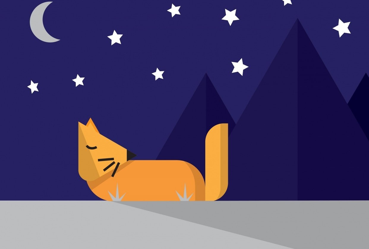 Illustrator Project 1 | Skillshare Student Project