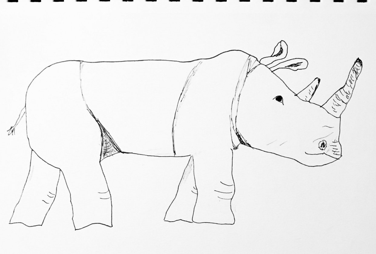 Parrot and Rhinoceros | Skillshare Student Project