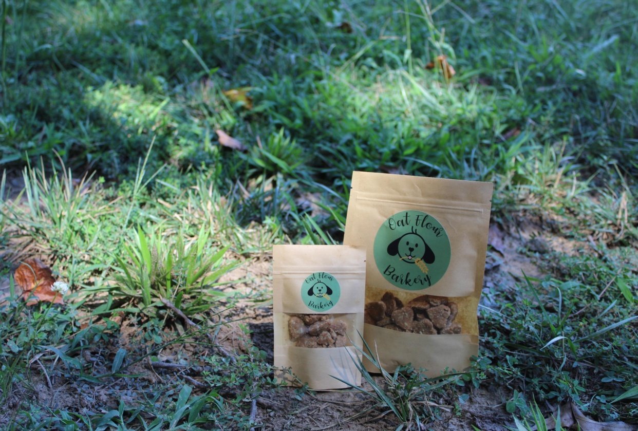 new-dog-treat-listing-skillshare-student-project