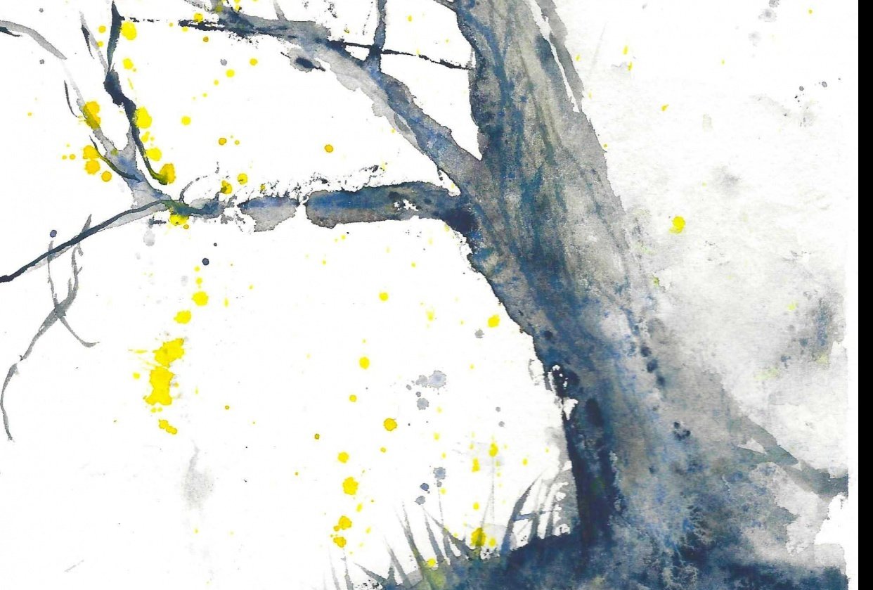 Credit Card tree | Skillshare Student Project