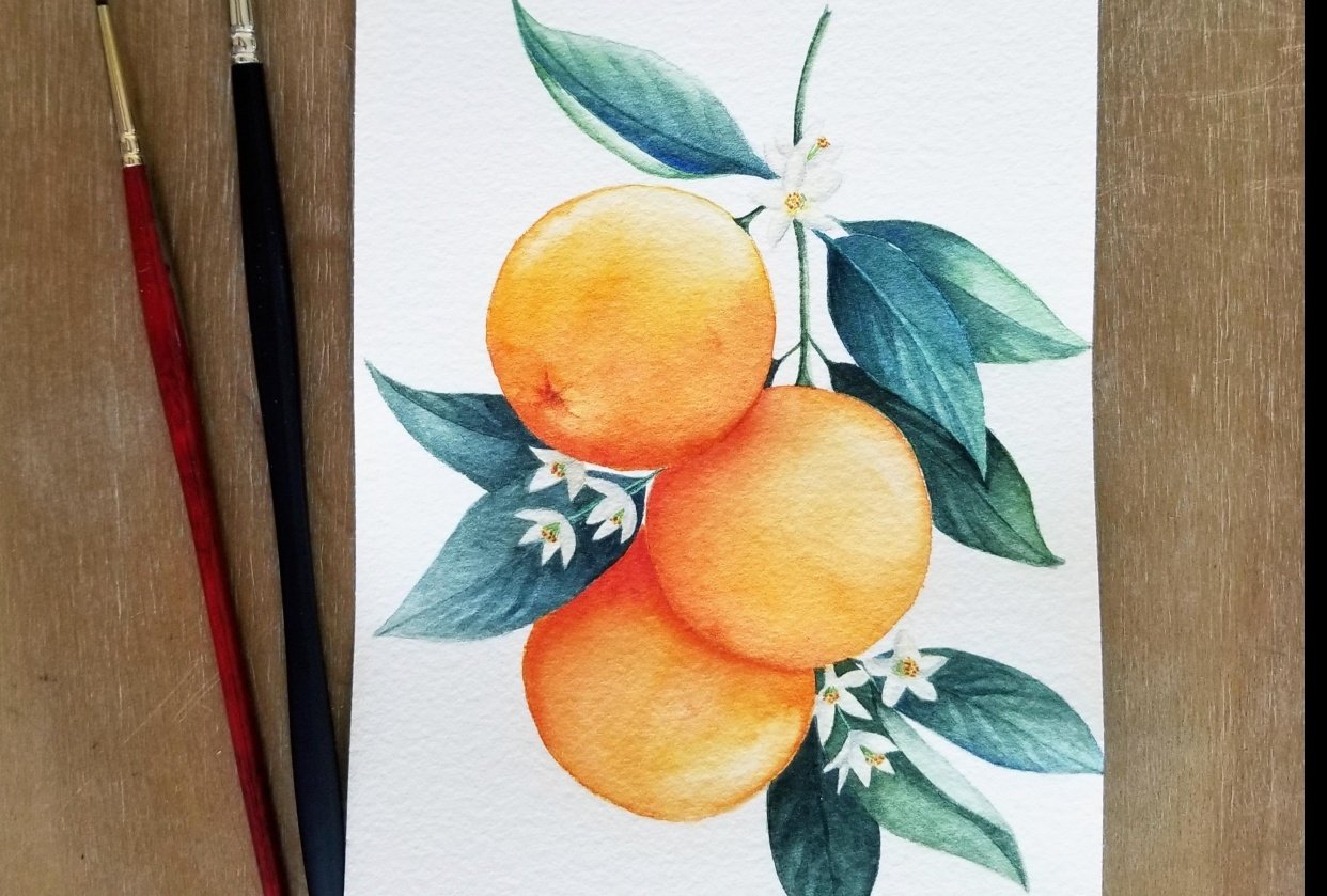 Complementary Oranges | Skillshare Student Project