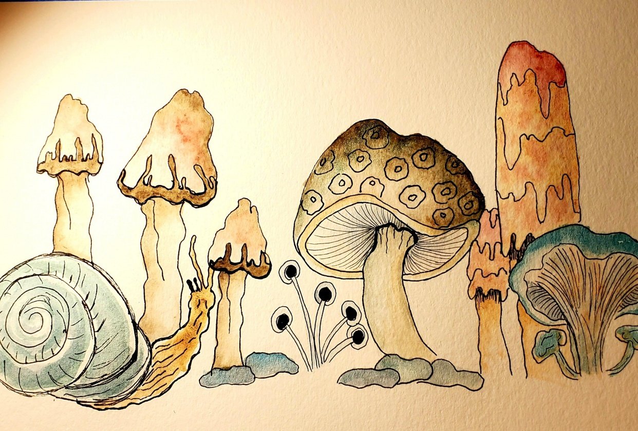 Mushrooms | Skillshare Student Project