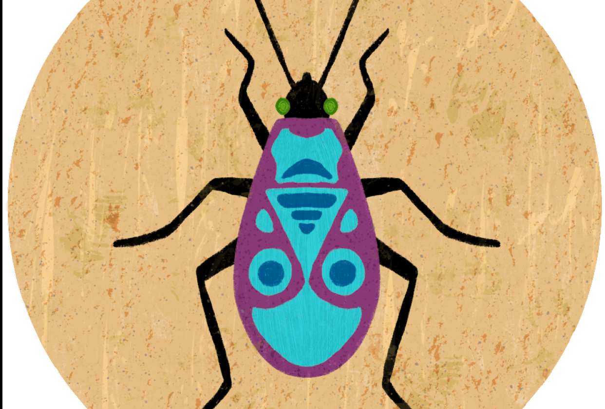 Bug animation | Skillshare Student Project