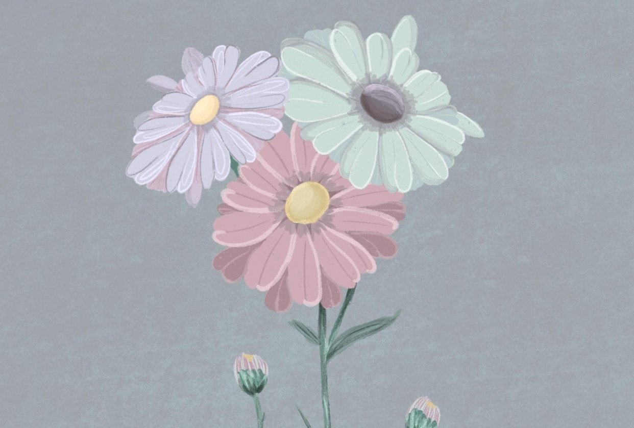 Colourful daisy's | Skillshare Student Project