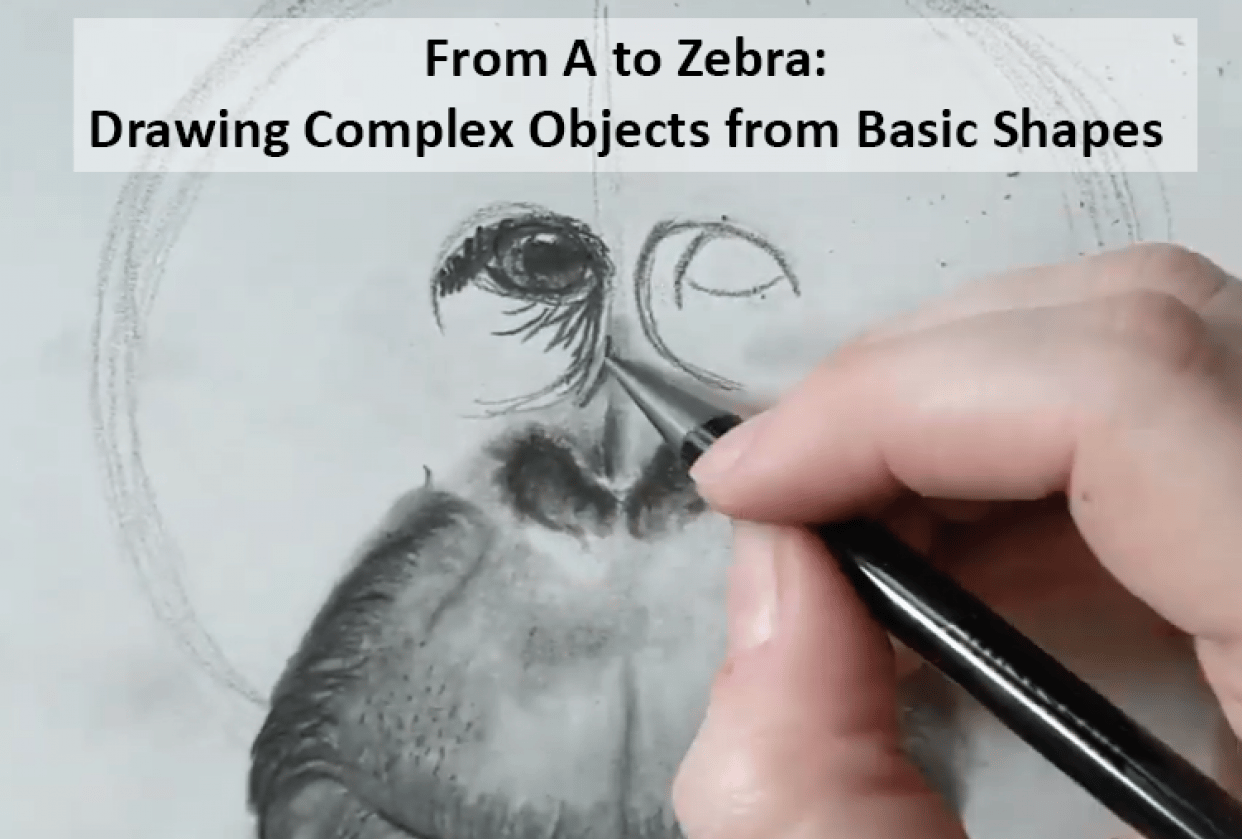 From A to Zebra: Drawing Complex Objects from Basic Shapes | Skillshare ...