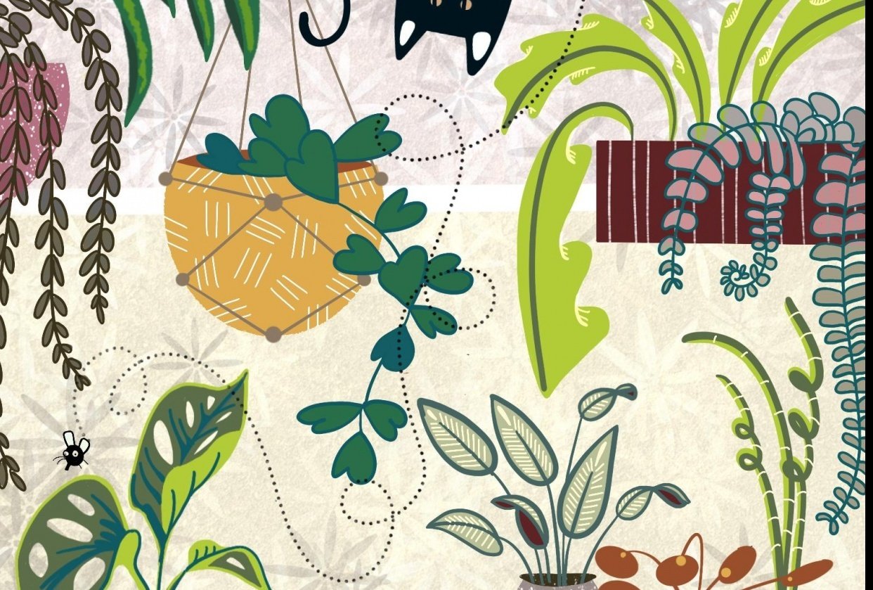 Chasing a fly | Skillshare Student Project