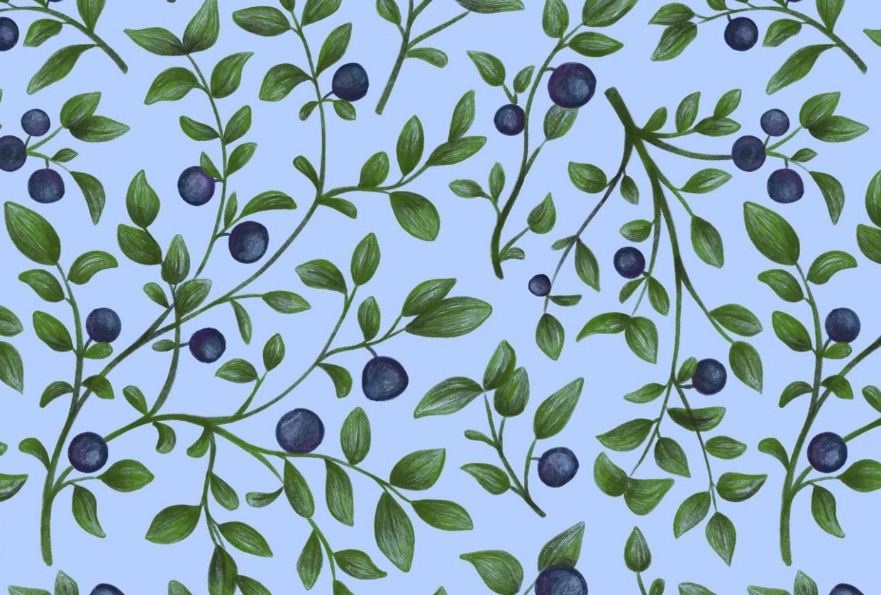 Blueberry Pattern | Skillshare Student Project