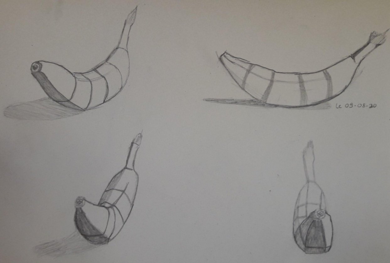 Contours / Drawing | Skillshare Student Project