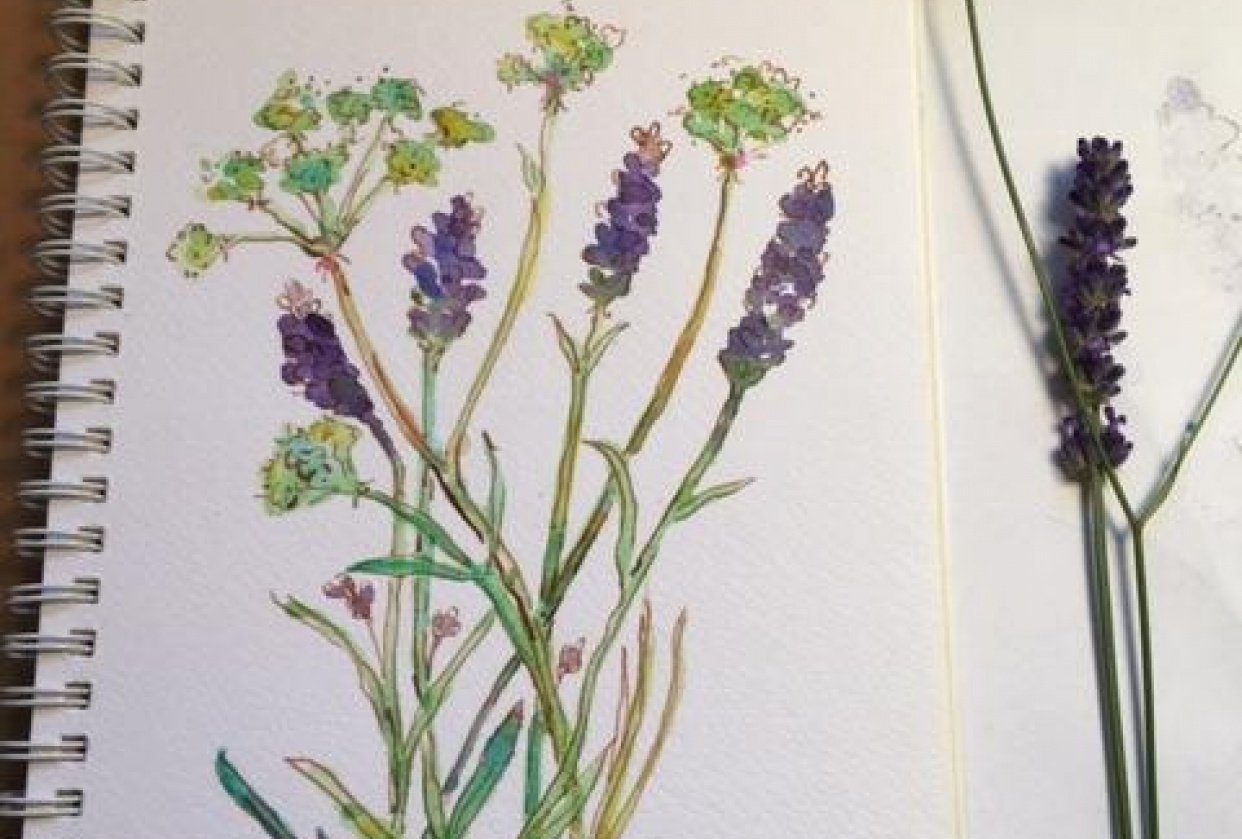 Expressive Watercolor Painting Trials | Skillshare Student Project