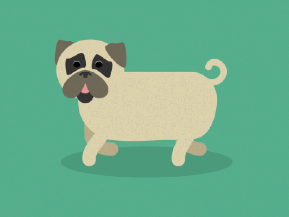 Pug animation | Skillshare Student Project