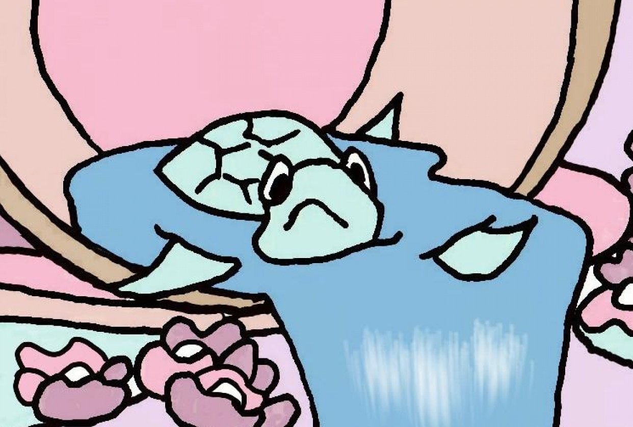 Turtle tea-time | Skillshare Student Project