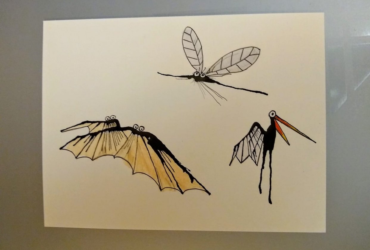 Flying creatures | Skillshare Student Project