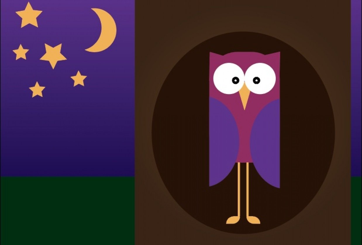 Owl | Skillshare Student Project