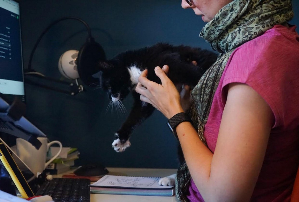 Working from Home with Cats | Skillshare Student Project