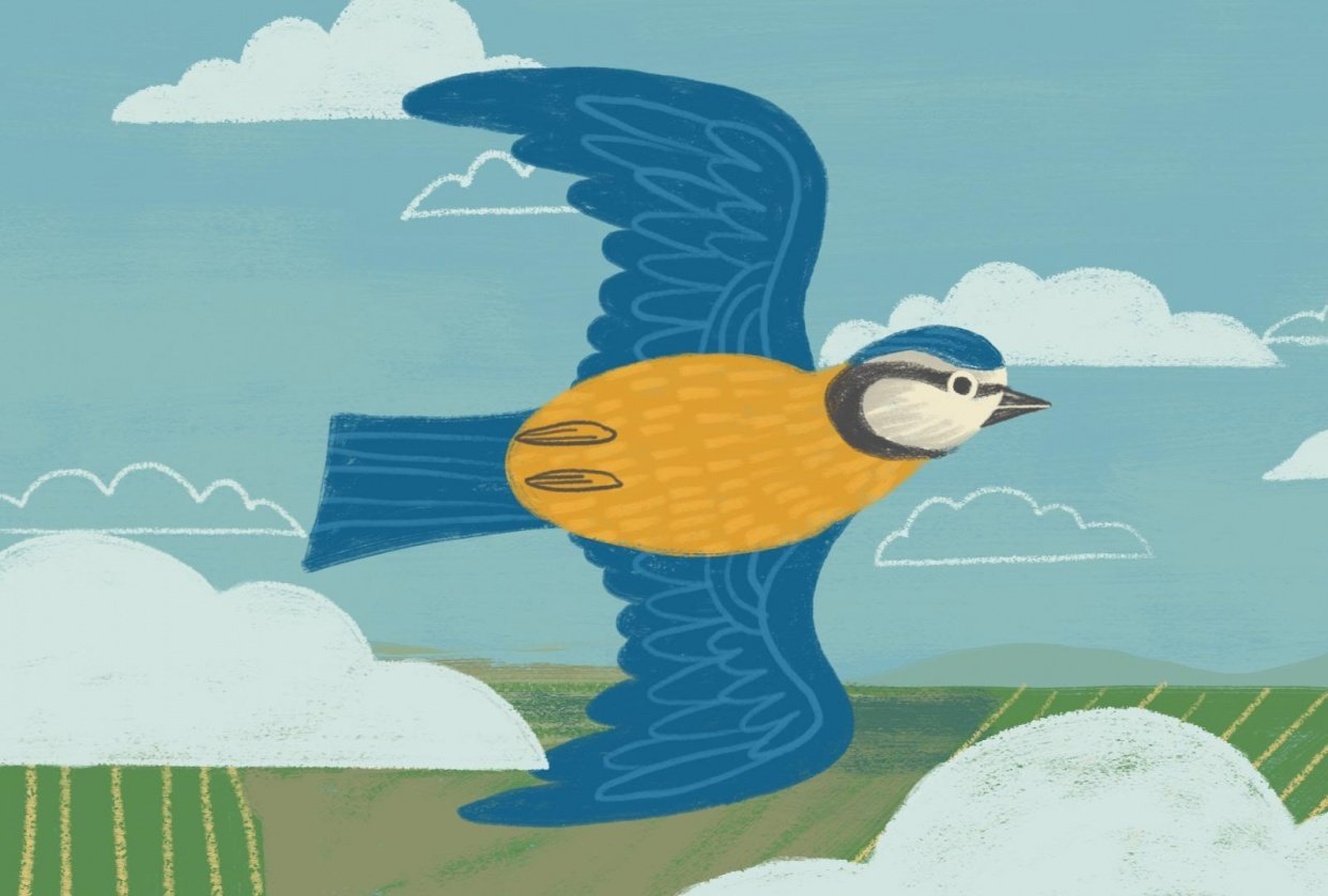 Flying Bird Loop | Skillshare Student Project