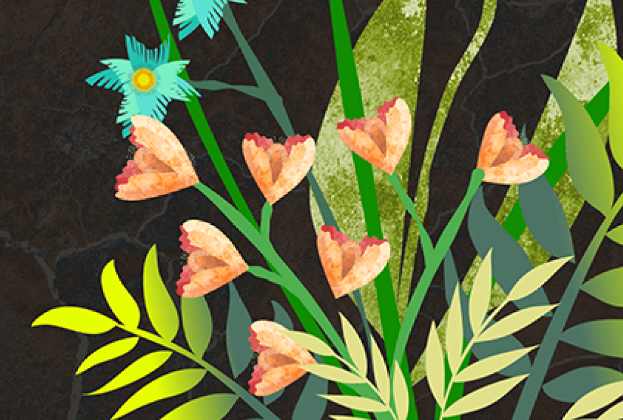 Textured Floral Illustrations in Affinity Designer | Skillshare Student ...
