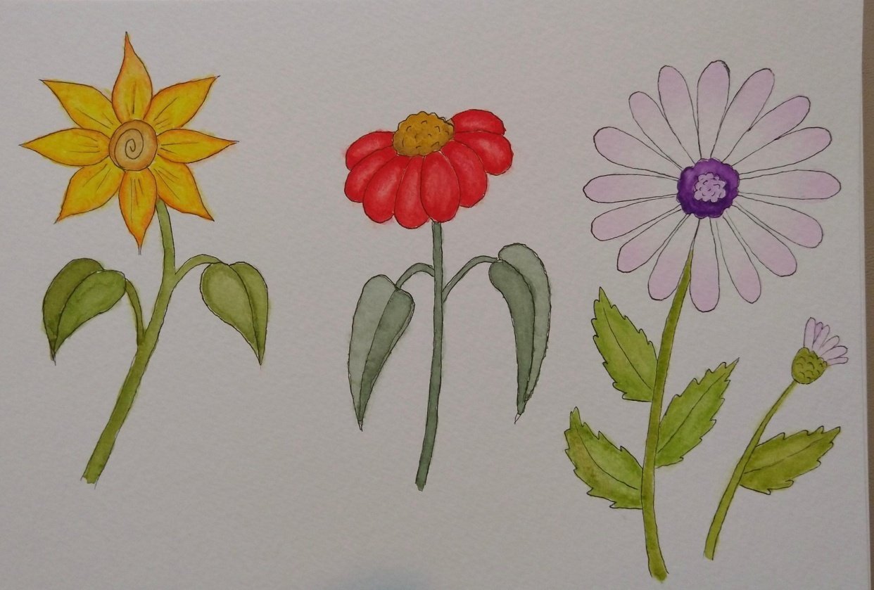 Watercolor Flowers | Skillshare Student Project