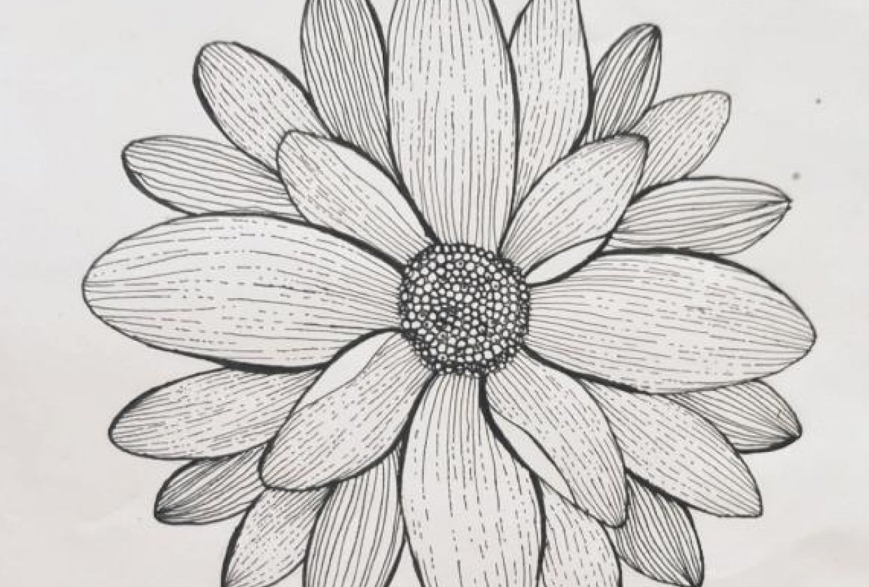 little daisy | Skillshare Student Project