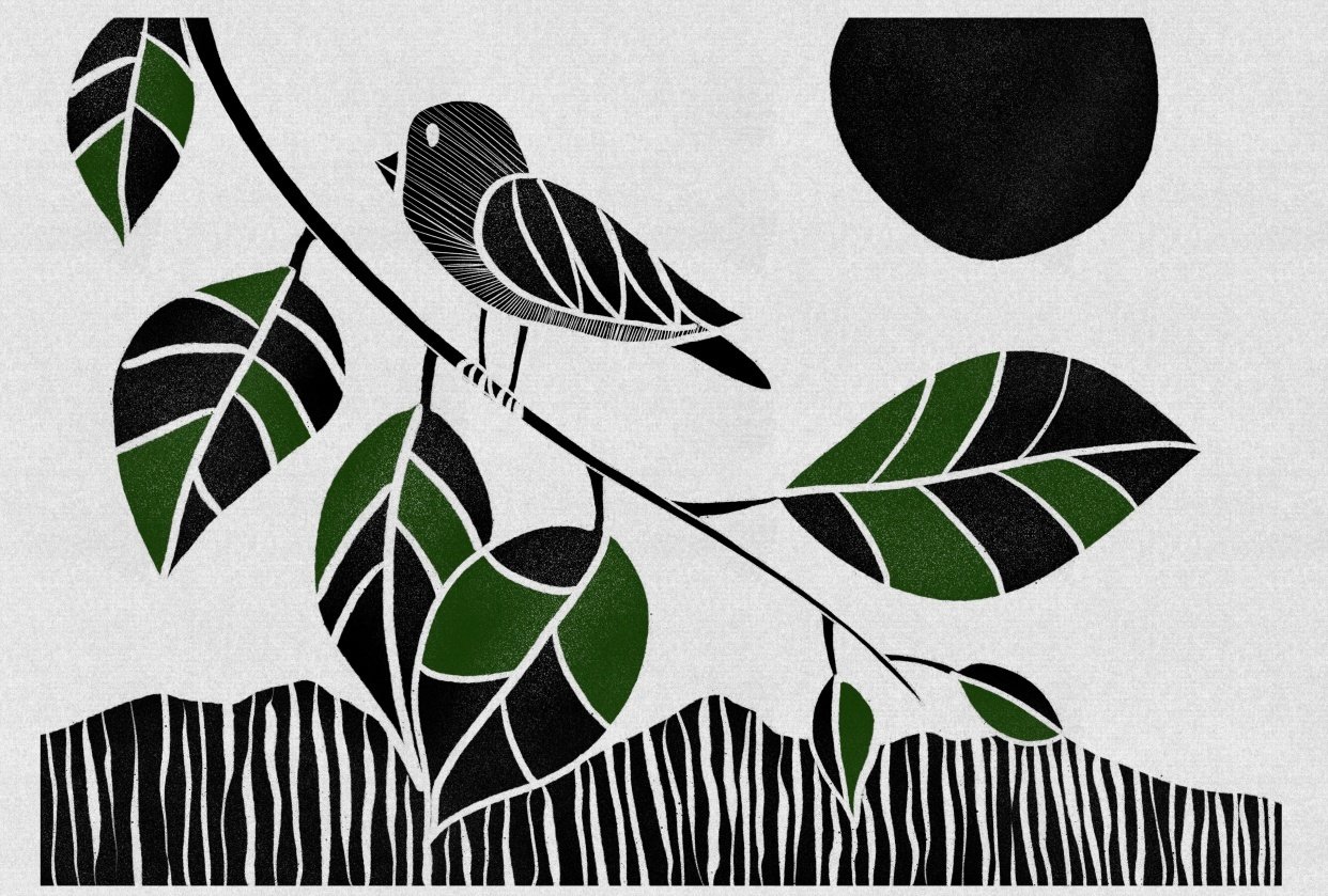 Block Printing Texture Class Skillshare Student Project block-printing-texture-class-skillshare-student-project
