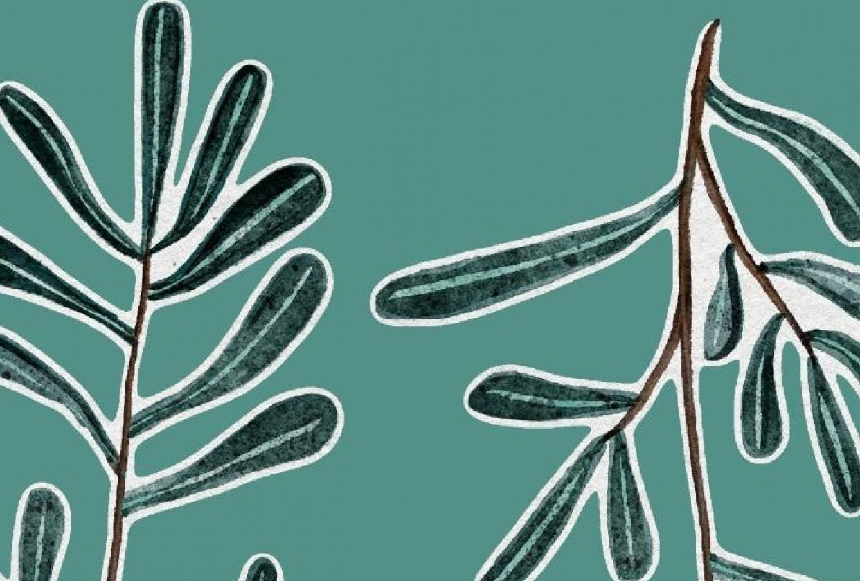 Stickers | Skillshare Student Project