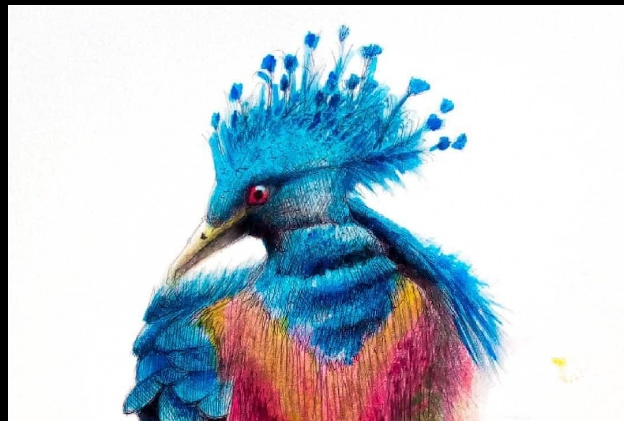 Realistic drawing | Skillshare Student Project