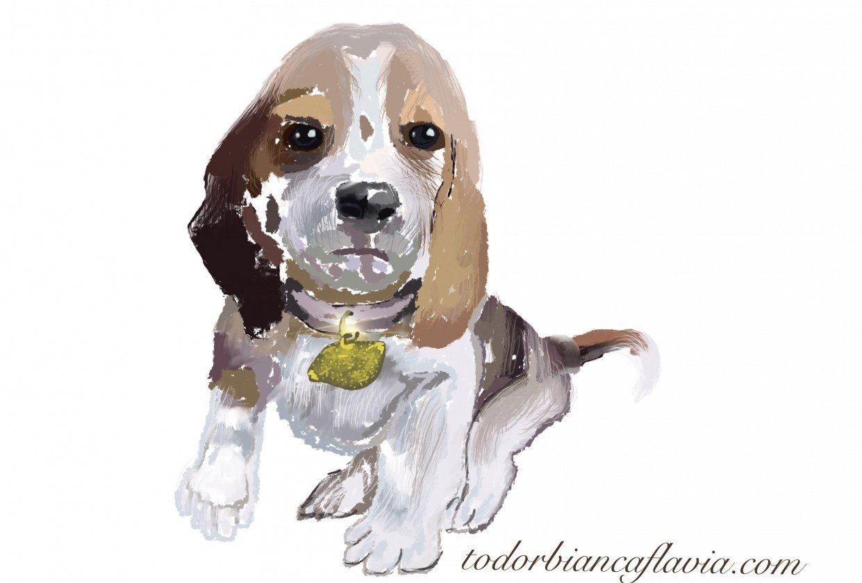 lemon dog | Skillshare Student Project