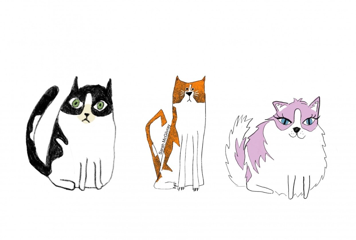 Cat Style | Skillshare Student Project