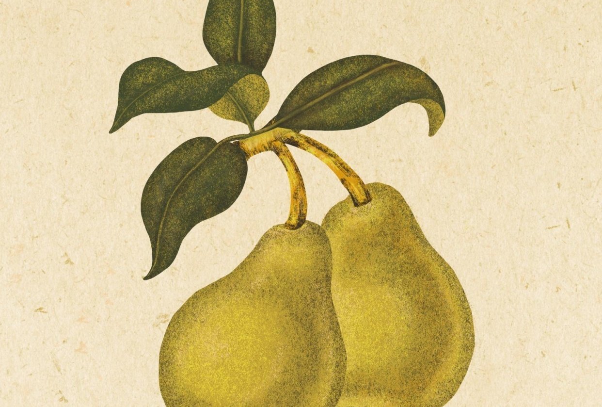 Textured Pears | Skillshare Student Project