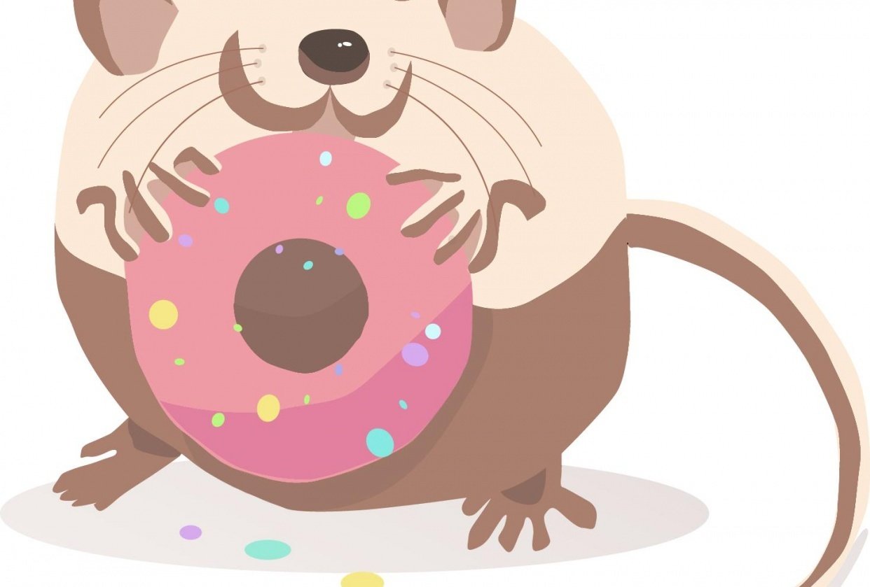 Rat with donut | Skillshare Student Project