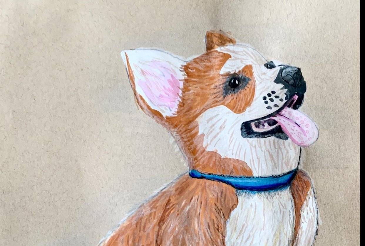 Draw and Paint a Corgi | Skillshare Student Project Draw and Paint a Corgi | Skillshare Student Project