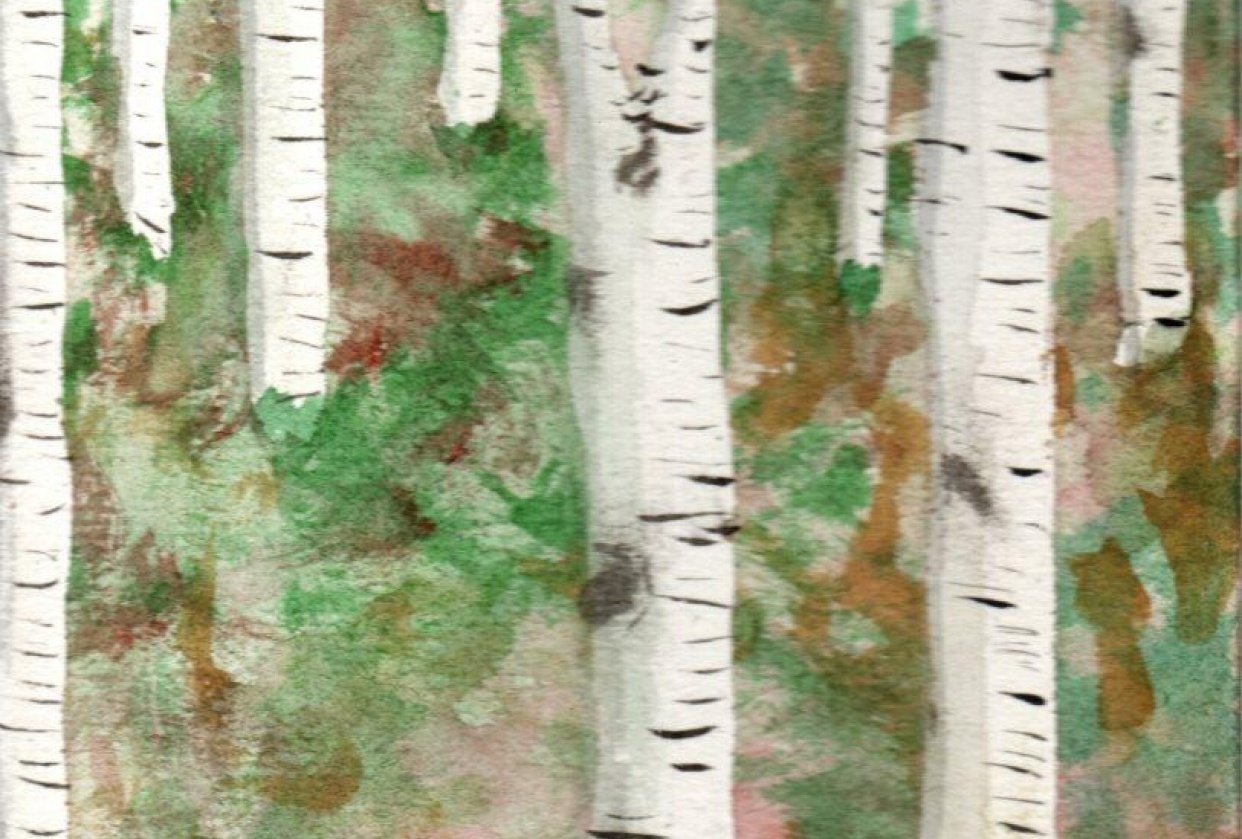 Birch Tree Forest | Skillshare Student Project
