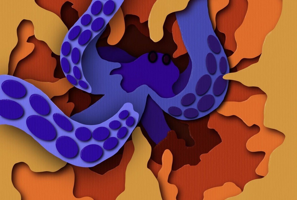 Octopus | Skillshare Student Project