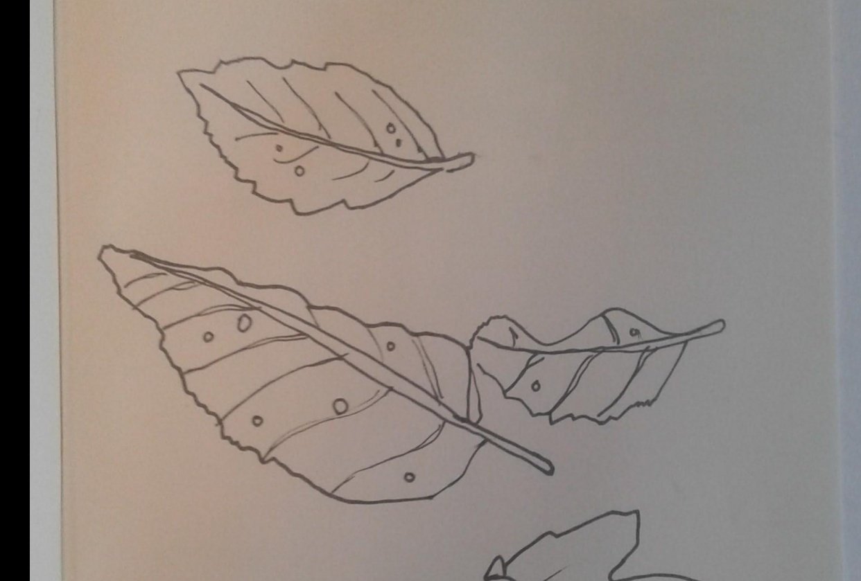 3 Minute Sketches | Skillshare Student Project