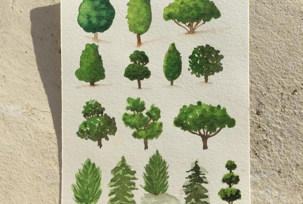 Trees with Shanhan | Skillshare Student Project