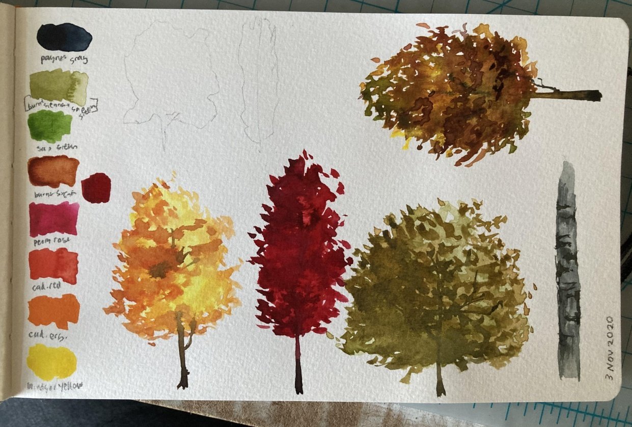 Autumn tree exercises | Skillshare Student Project