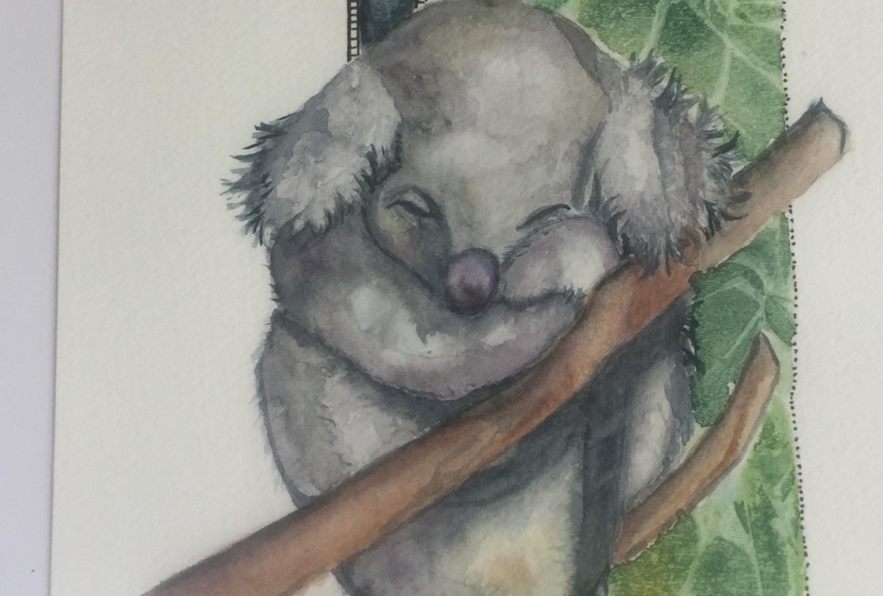 Koala | Skillshare Student Project