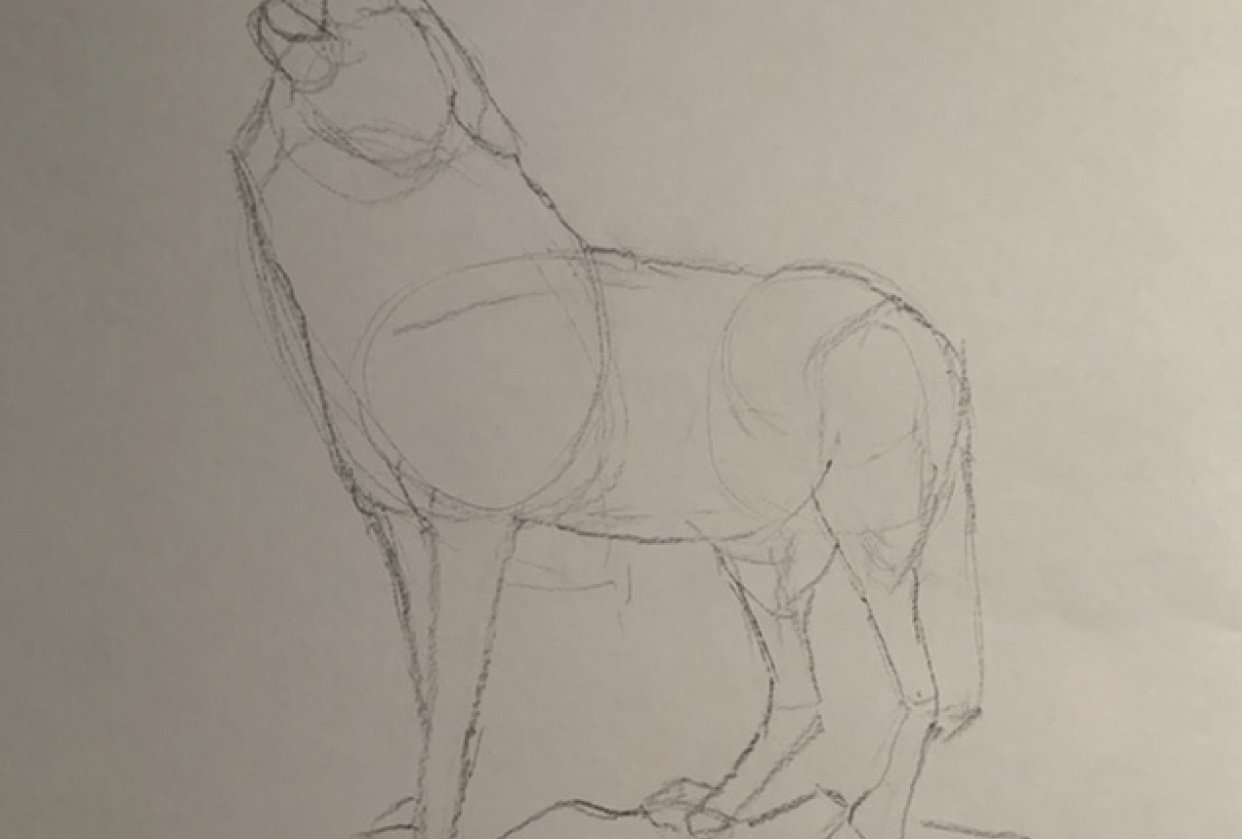 Simple shapes | Skillshare Student Project