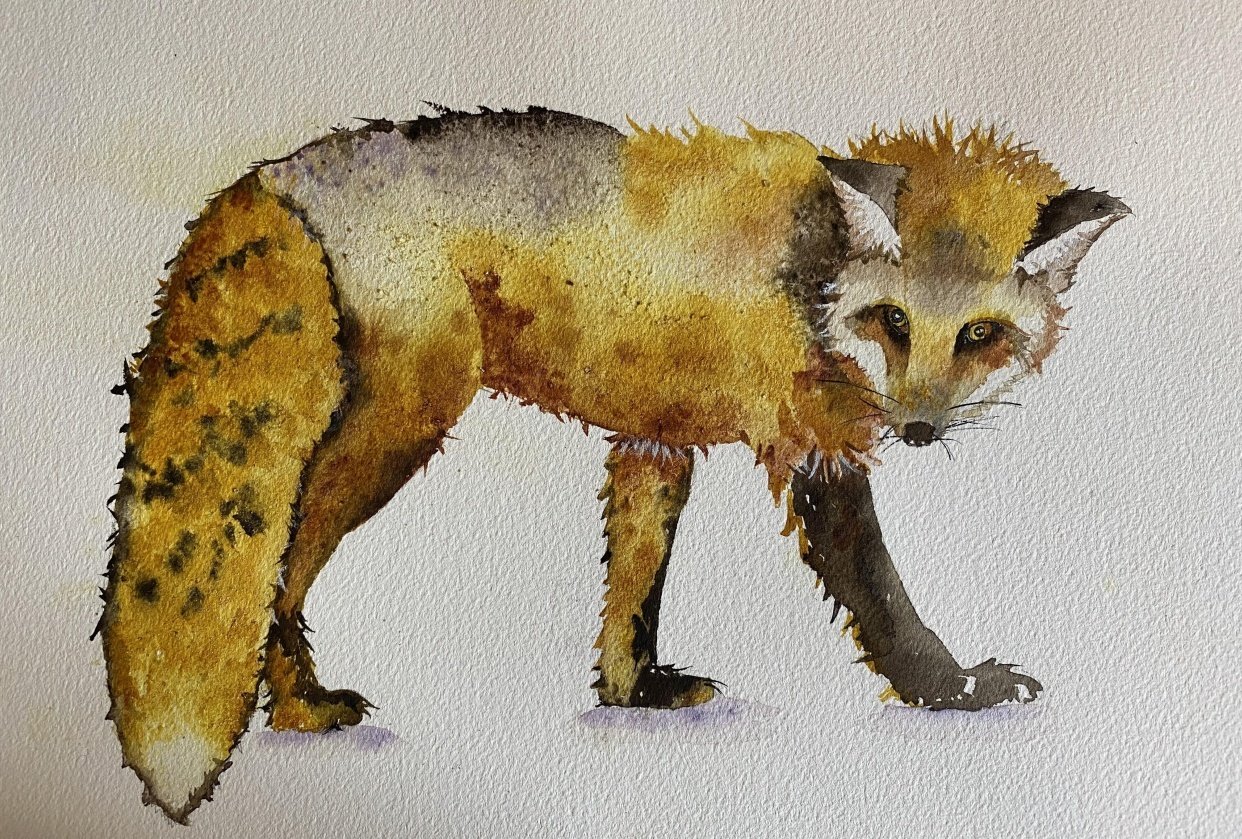 First fox | Skillshare Student Project