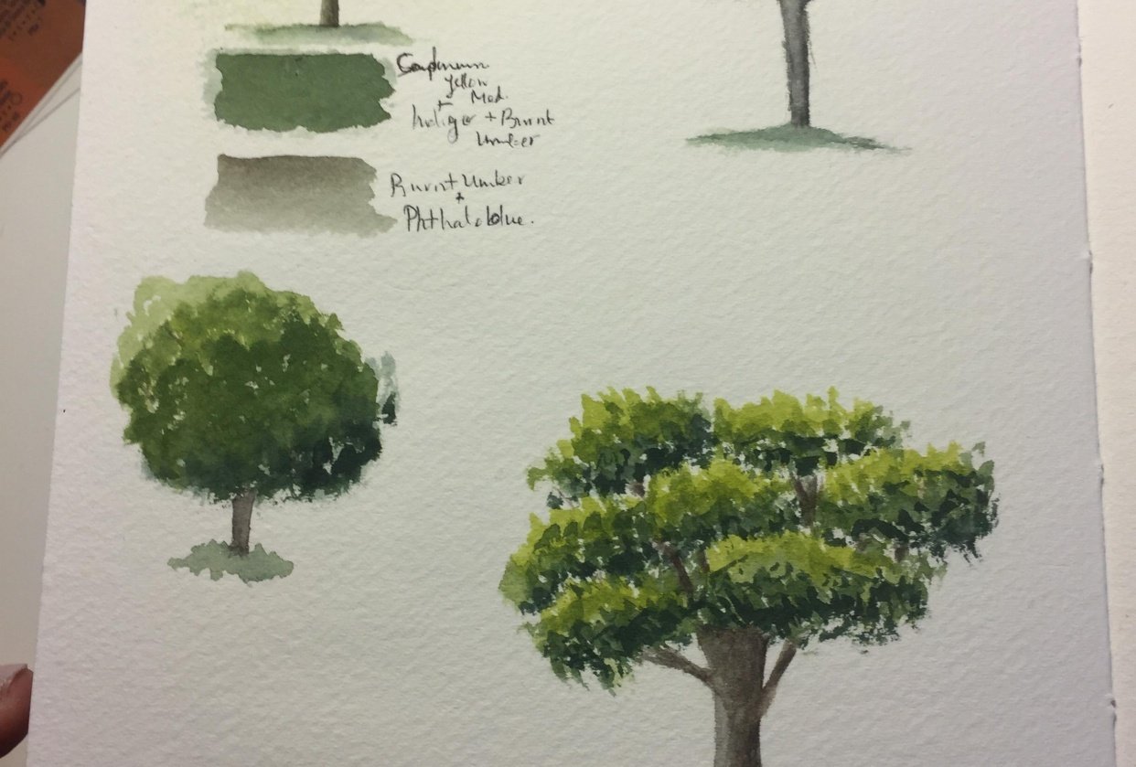 Trees | Skillshare Student Project