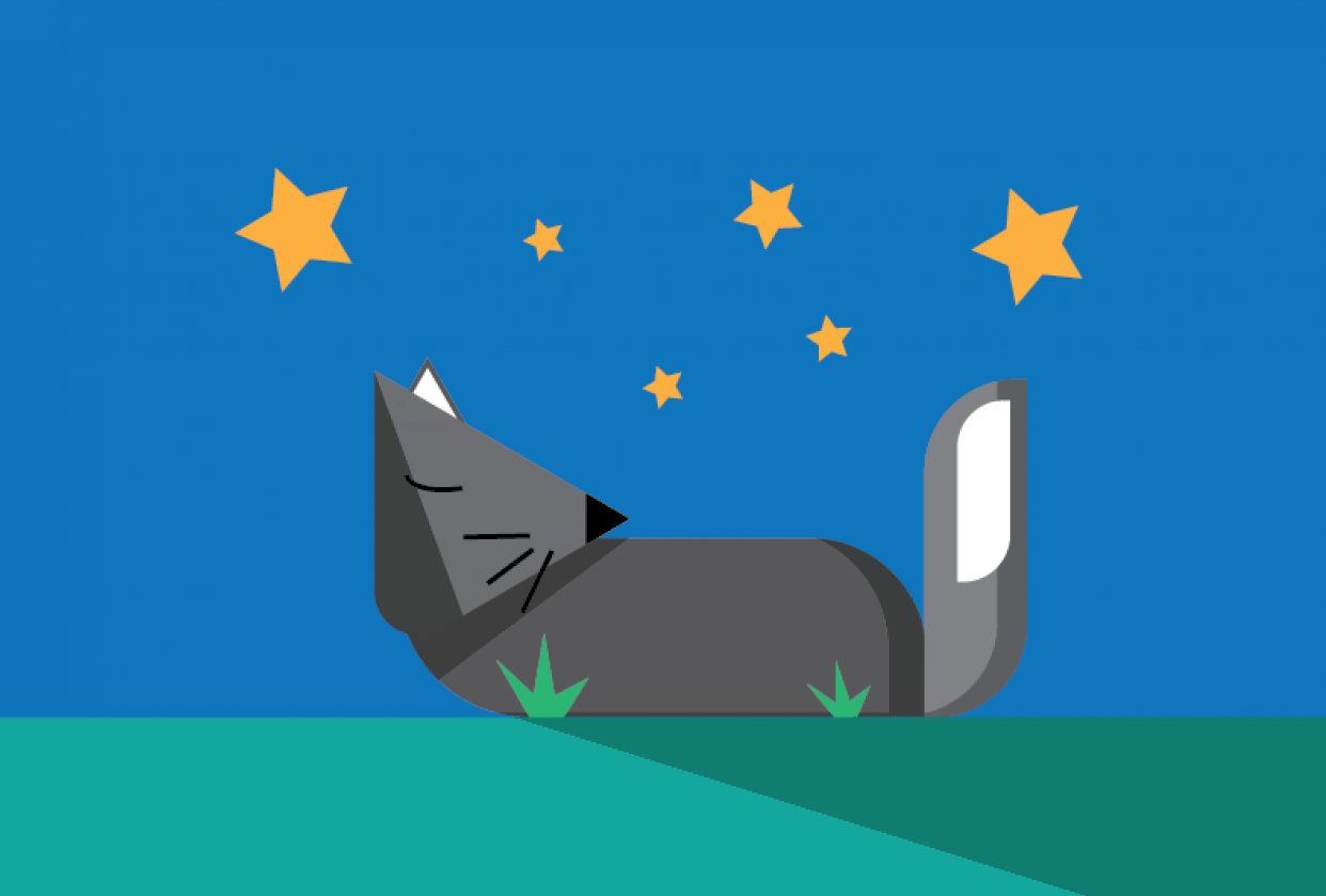 Sleeping Fox | Skillshare Student Project