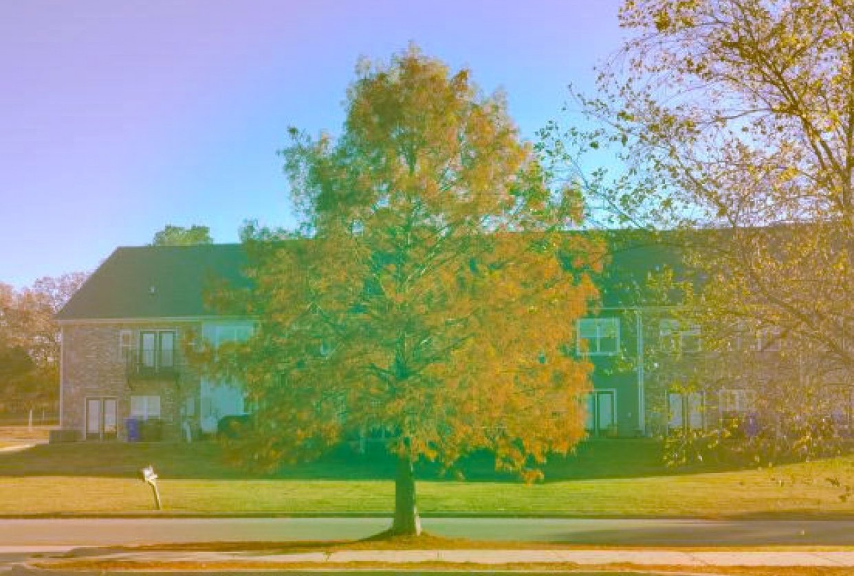 First Project | Skillshare Student Project