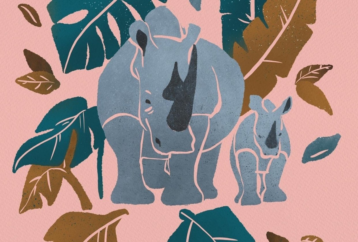 Rhino Love!! | Skillshare Student Project
